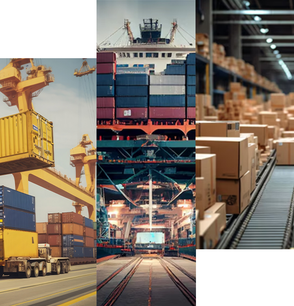 The Evolution of Warehousing: From Traditional to Smart Warehouses